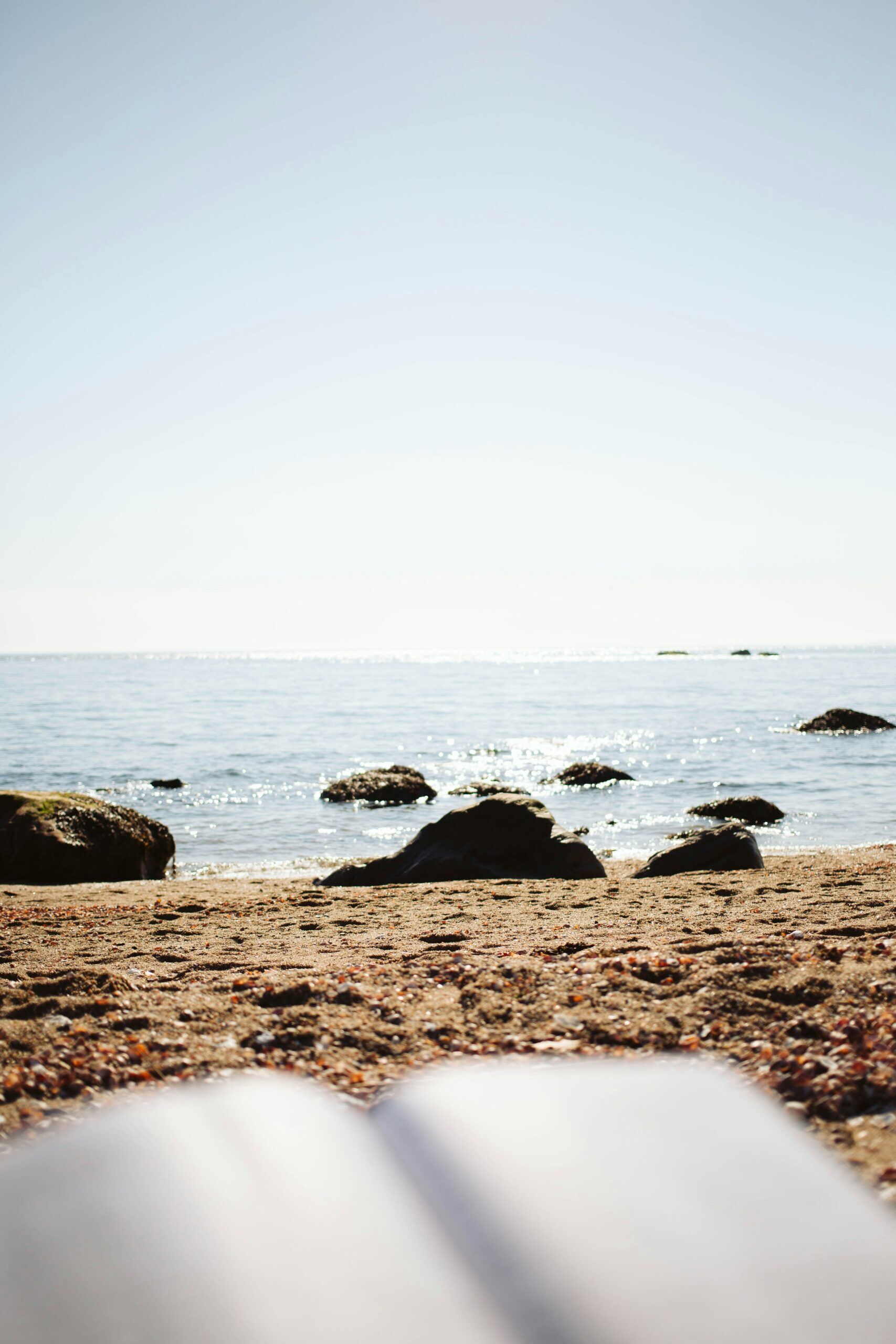 10 Best Educational Beach Reads For World Oceans Month - The Good Trade